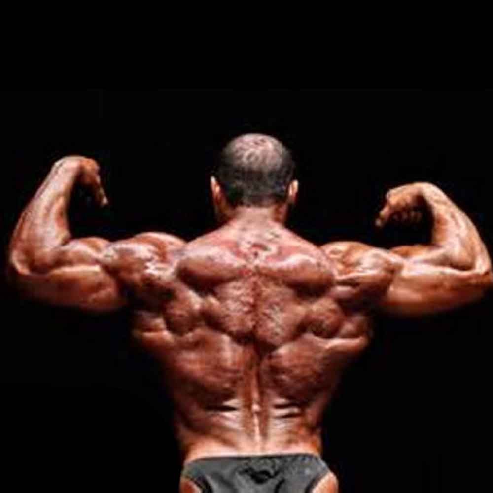 Show prep for bodybuilding, physique, fitness, figure, or bikini ...